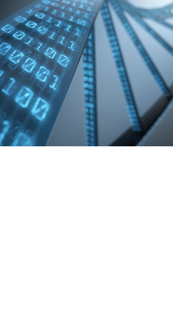 Basic Rules for Network Data Visualization Access